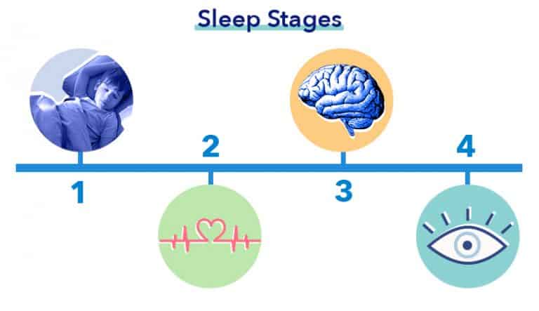 A Kid's Guide to Understanding Sleep | Sleepopolis